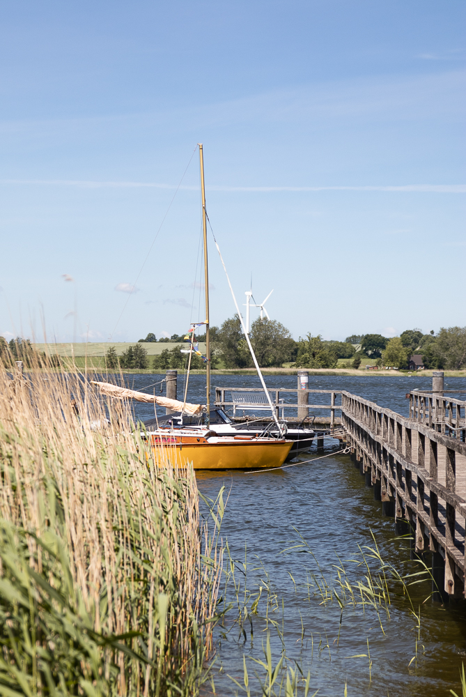 Sieseby: weisses Schönheit an der Schlei